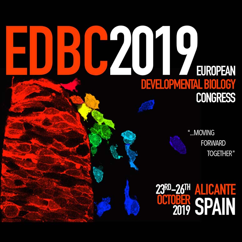 Lauréates bourse de voyage SFBD 2019 - SFBD